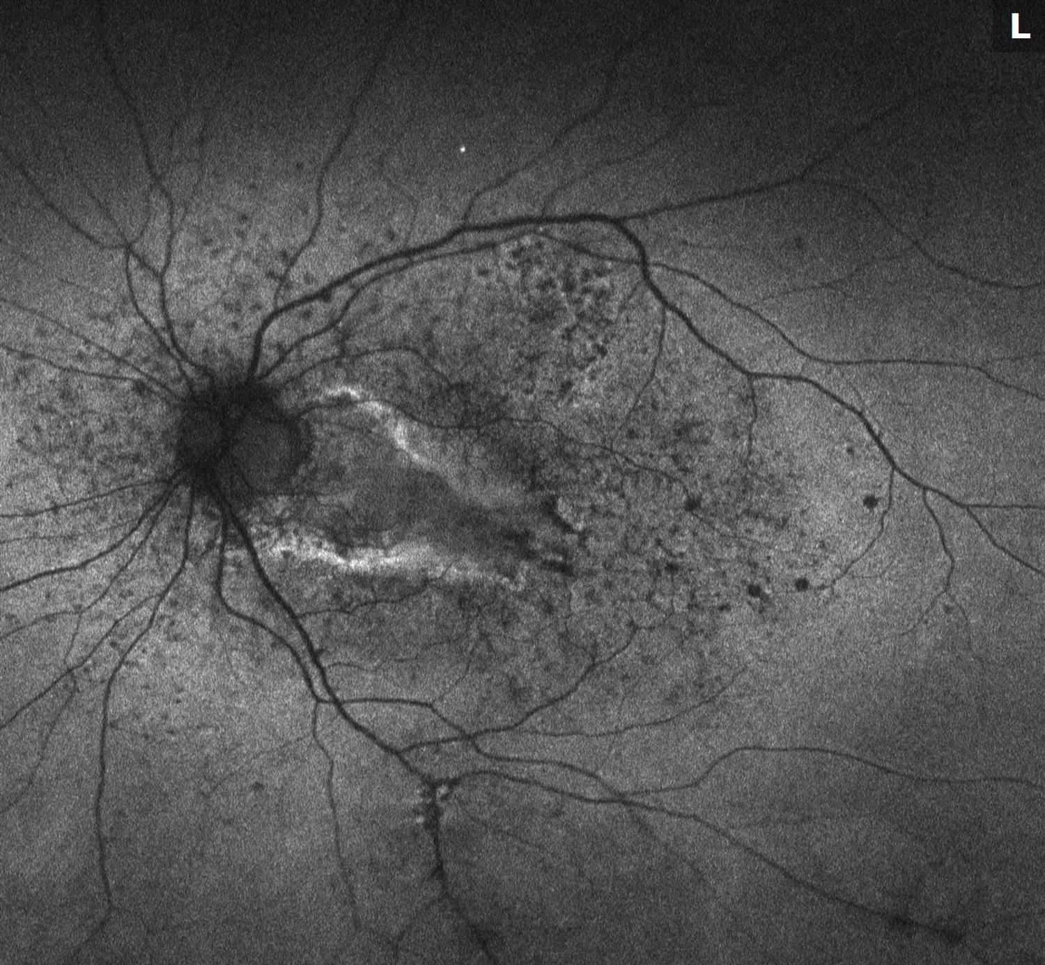 - Dr. Chirag M. Shah MD MPH